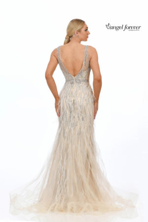 Home - Cinders Party Dress
